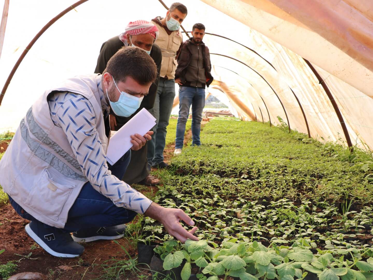 Ataa launches the vegetable support chain project in northern Syria ...
